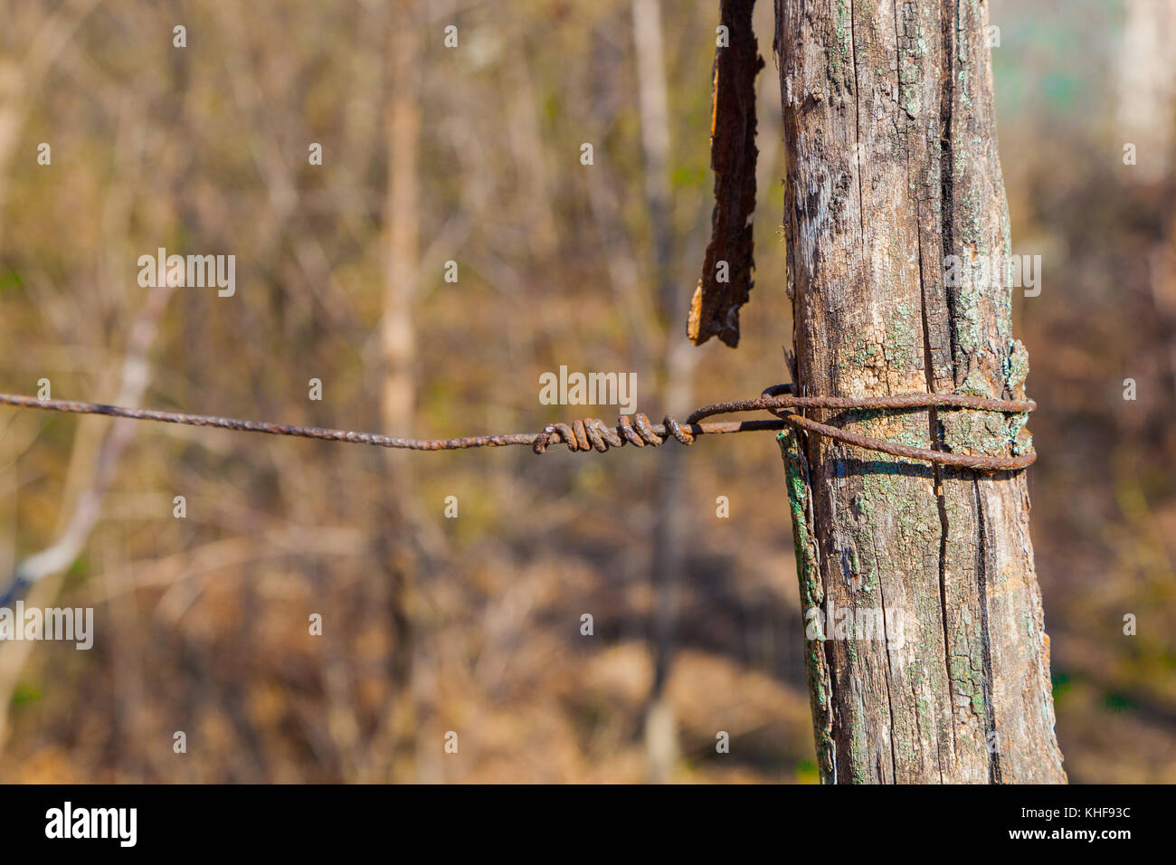 Wooden fence made of wooden sticks and barbed wire. Various textures ...