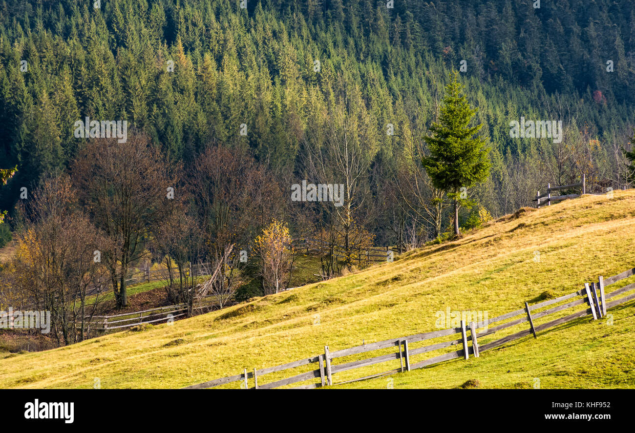 Rural background hi-res stock photography and images - Alamy