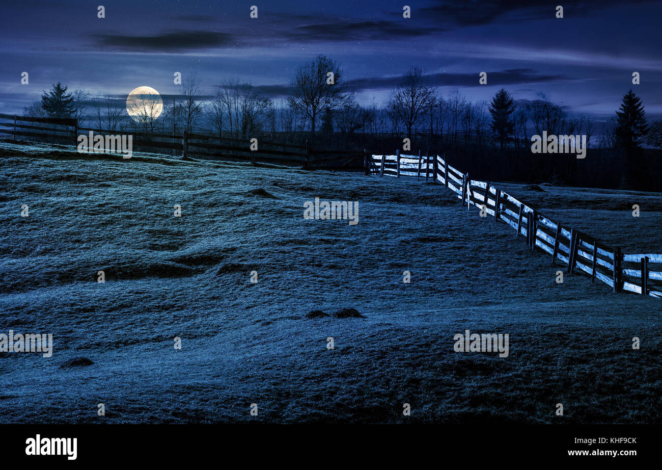 Grassy Field At Night