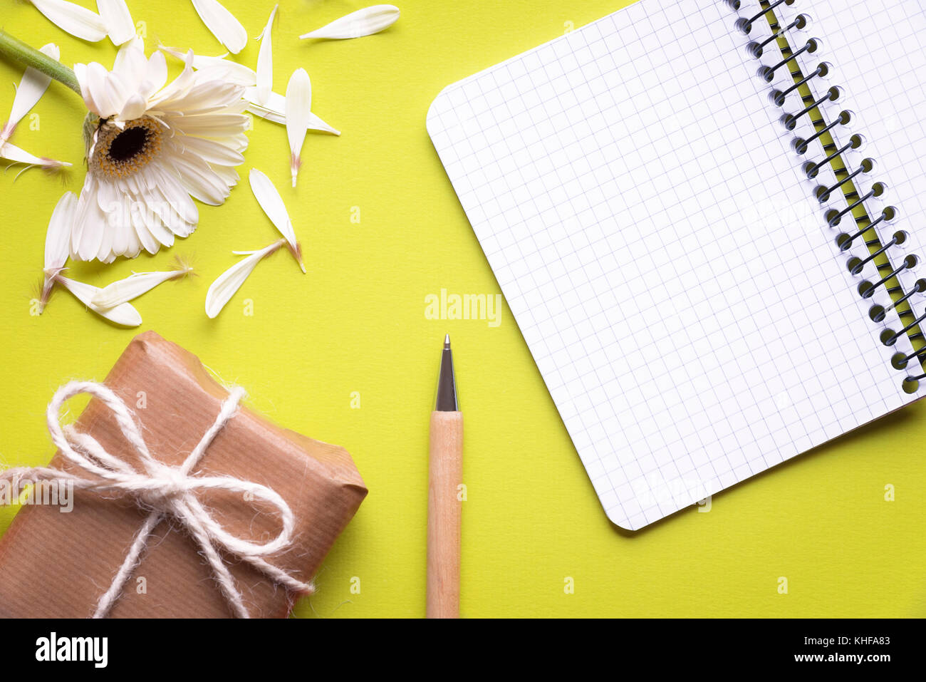 Blank spiral math notebook surrounded by a pen, a torn white flower and ...