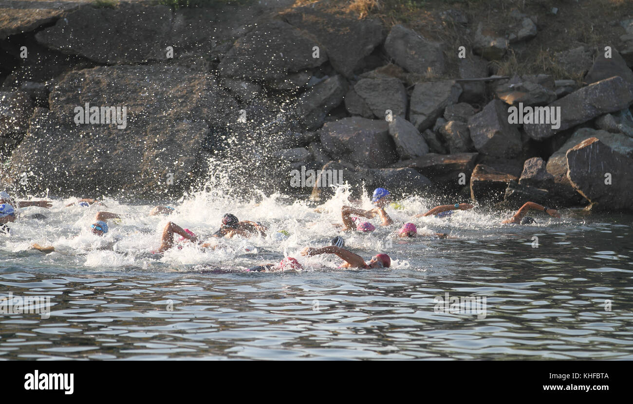 ISTANBUL, TURKEY - AUGUST 13, 2017: Athletes competing in swimming ...