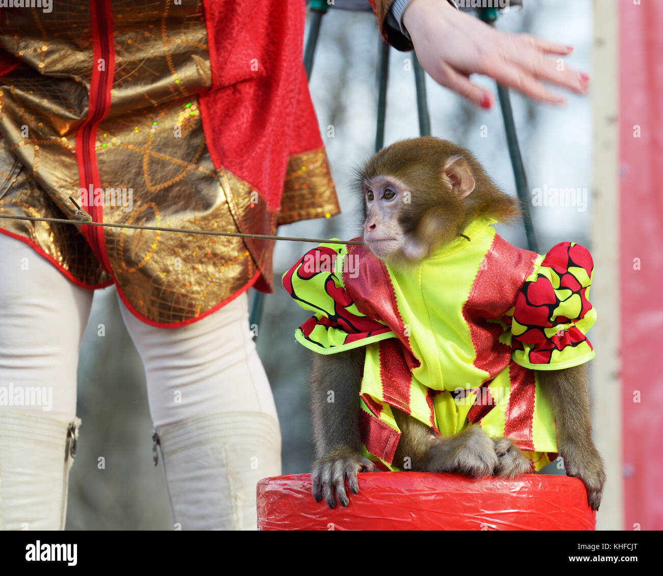 Monkey Suit High Resolution Stock Photography and Images - Alamy