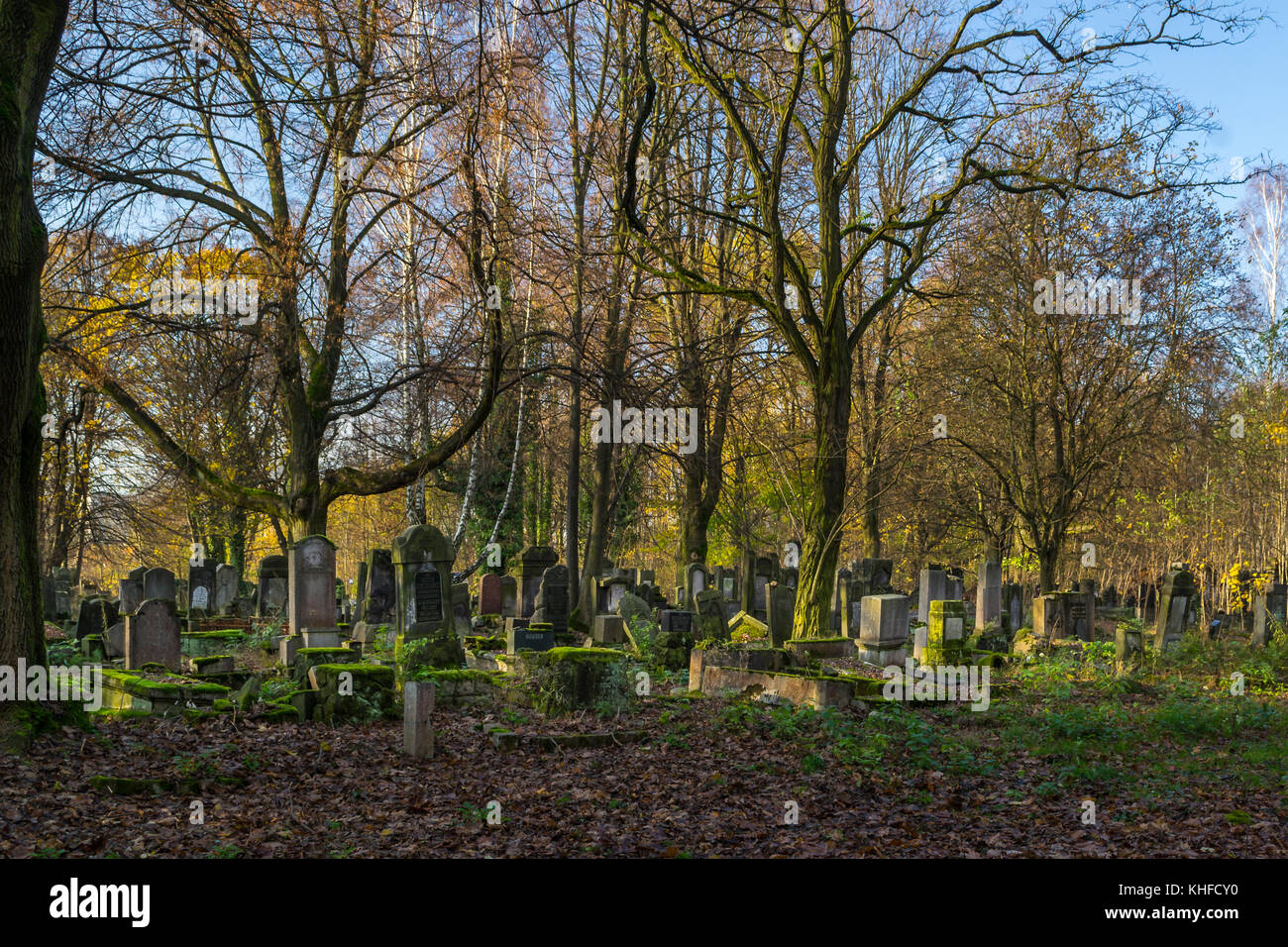 Historic Jewish cemetery in the city of Lodz, Poland Stock Photo - Alamy