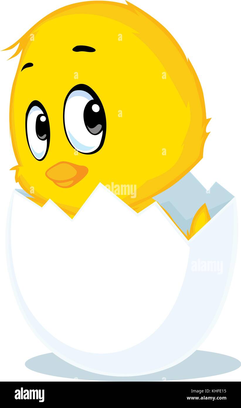 chicken born from eggshell - vector illustration Stock Vector Image ...