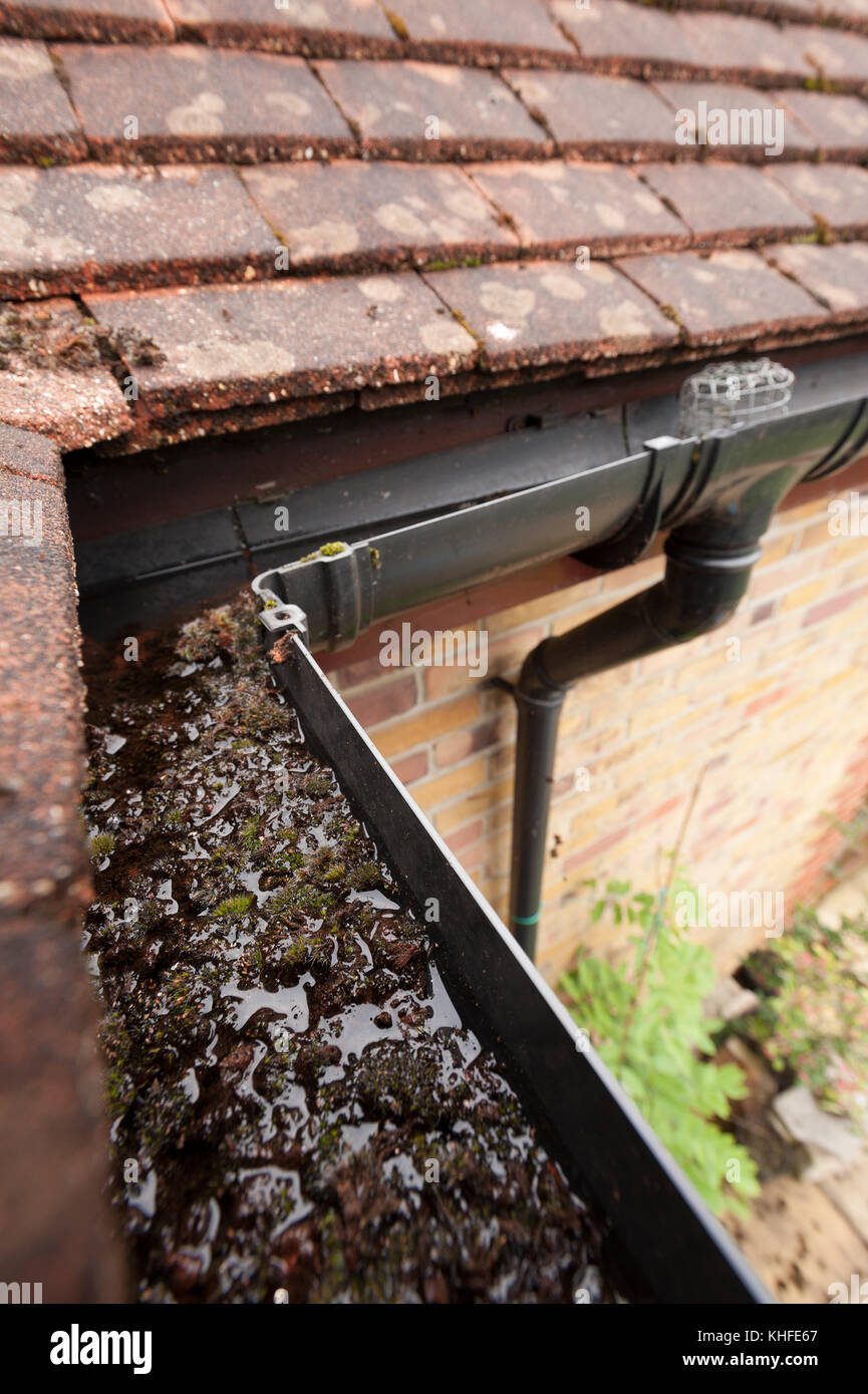 Unblocking gutter hi-res stock photography and images - Alamy