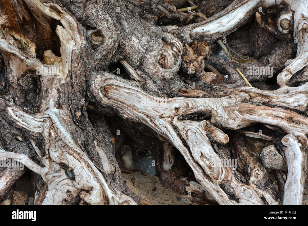 Forest soil seamless texture hi-res stock photography and images - Alamy