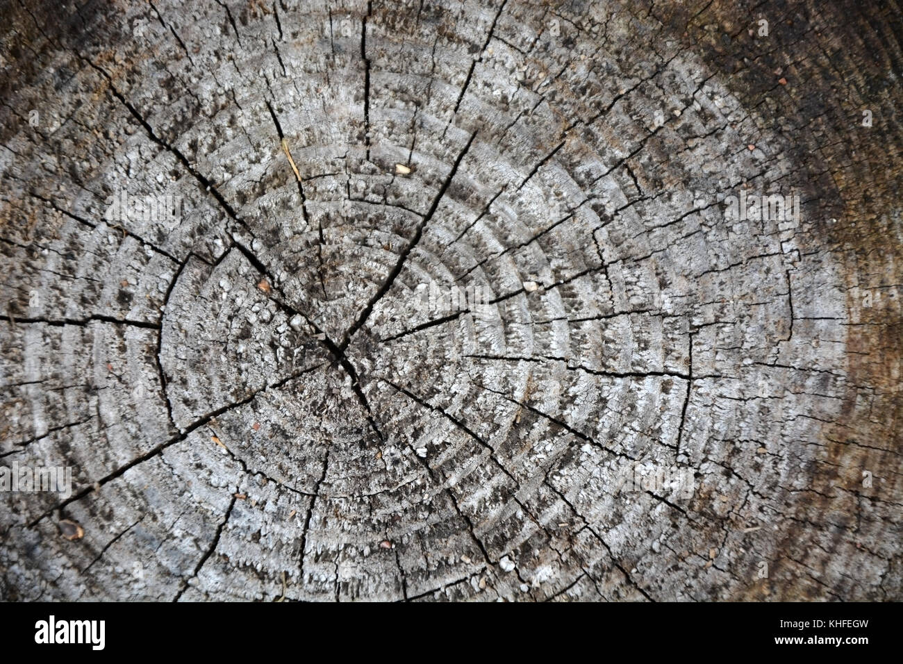 Old grey wooden curve board hi-res stock photography and images - Alamy