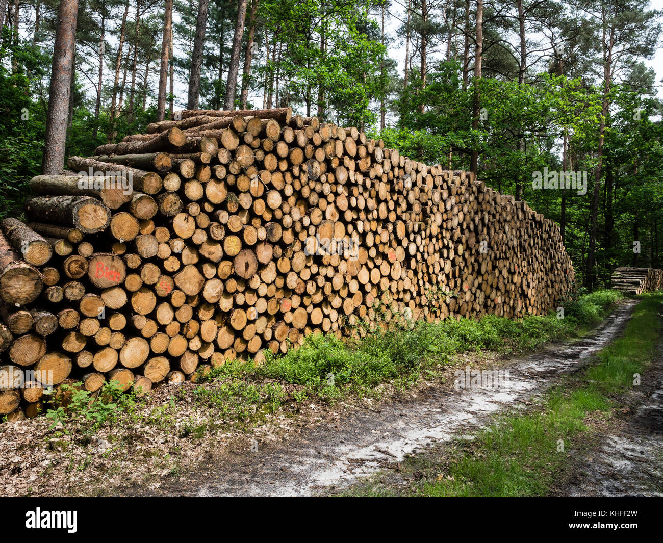 Woodpile stack log pile lumber timber hi-res stock photography and ...
