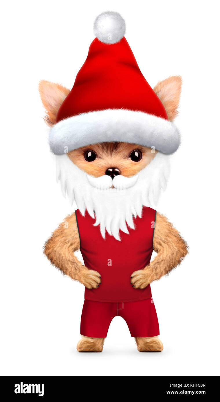 Funny Dog Santa with beard. Christmas concept Stock Photo - Alamy