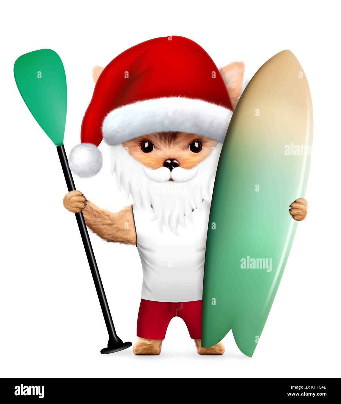 Cute Dog Santa on a beach holidays Stock Photo - Alamy