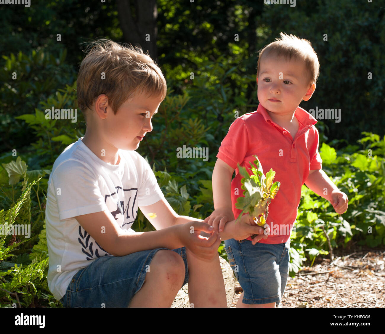 Lit brothers hi-res stock photography and images - Alamy