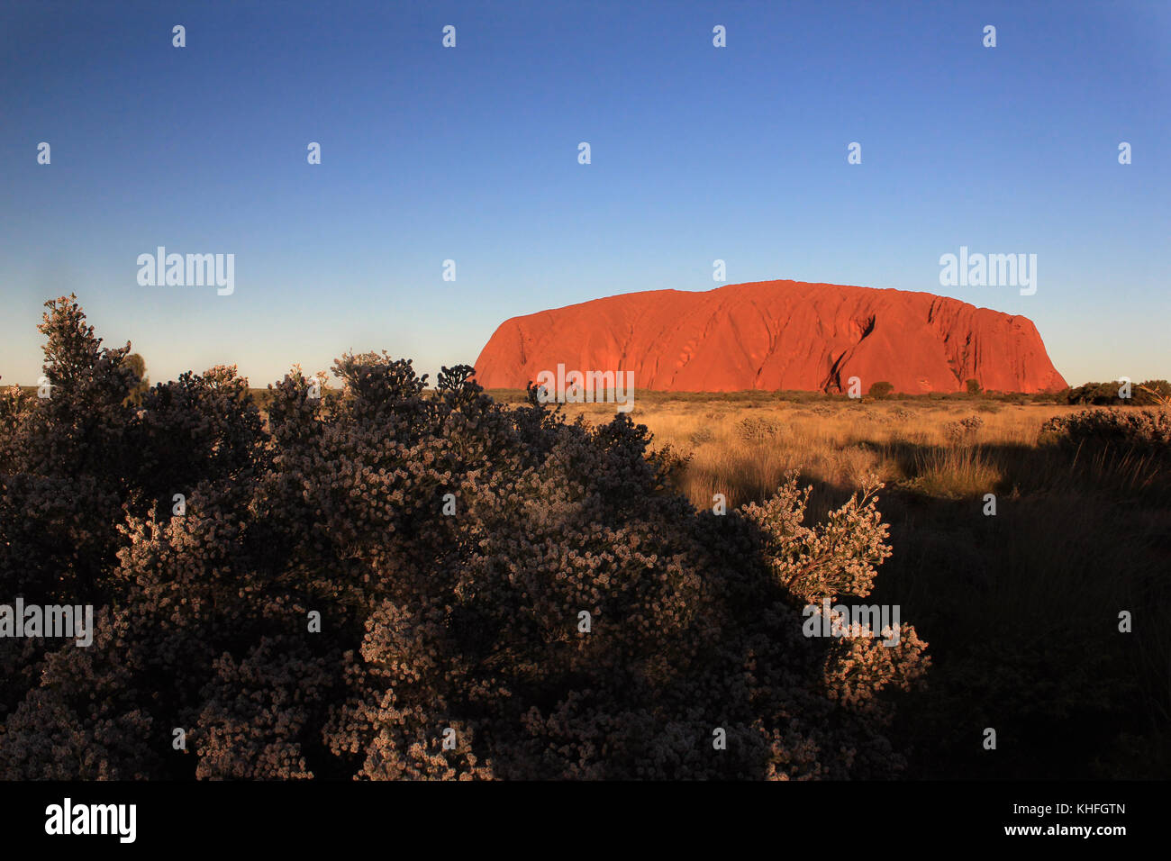 Ayers Rock, known as Uluru to the native aboriginal people lights up in ...