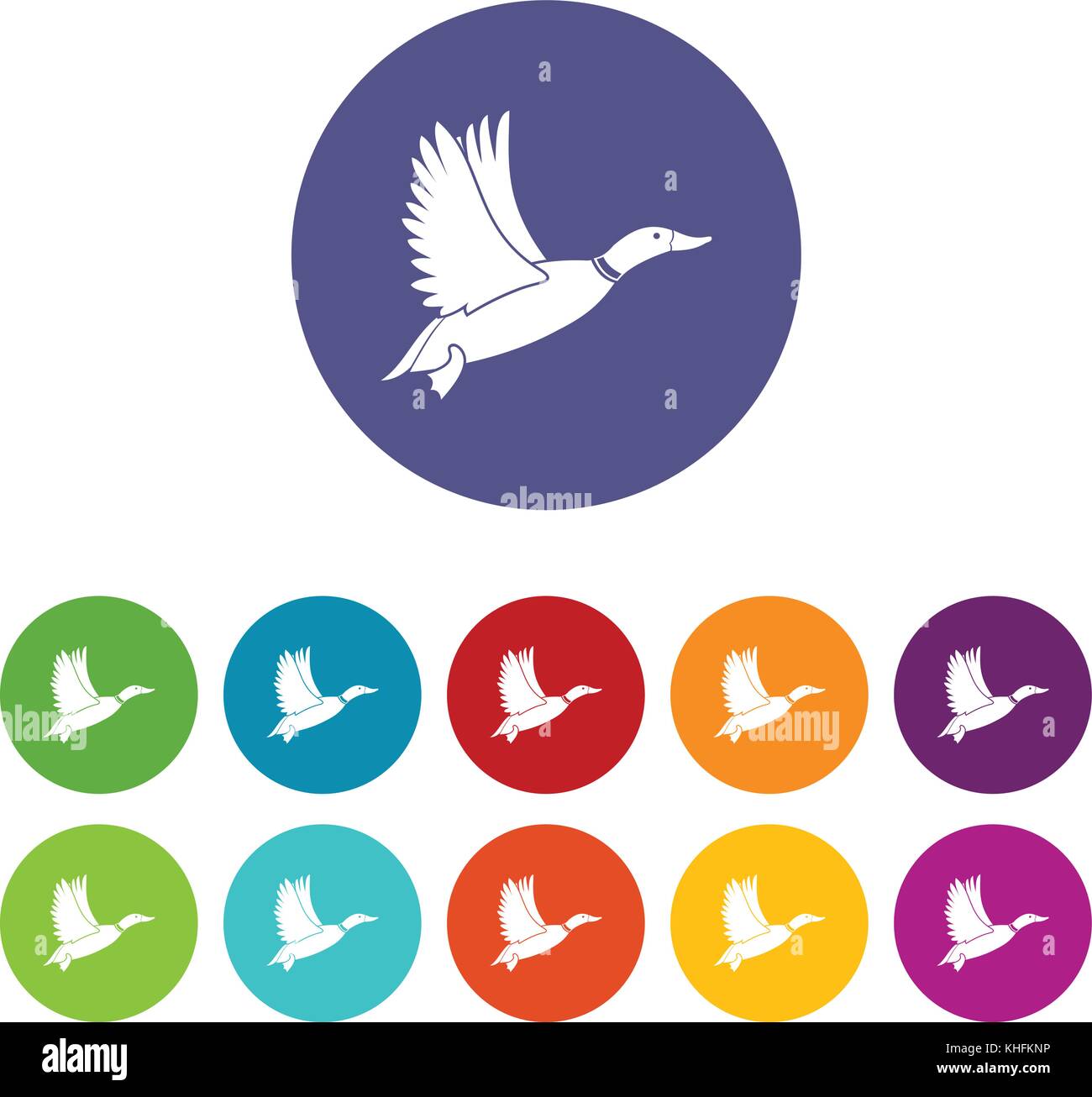 Walking mallard duckling Stock Vector Images - Alamy