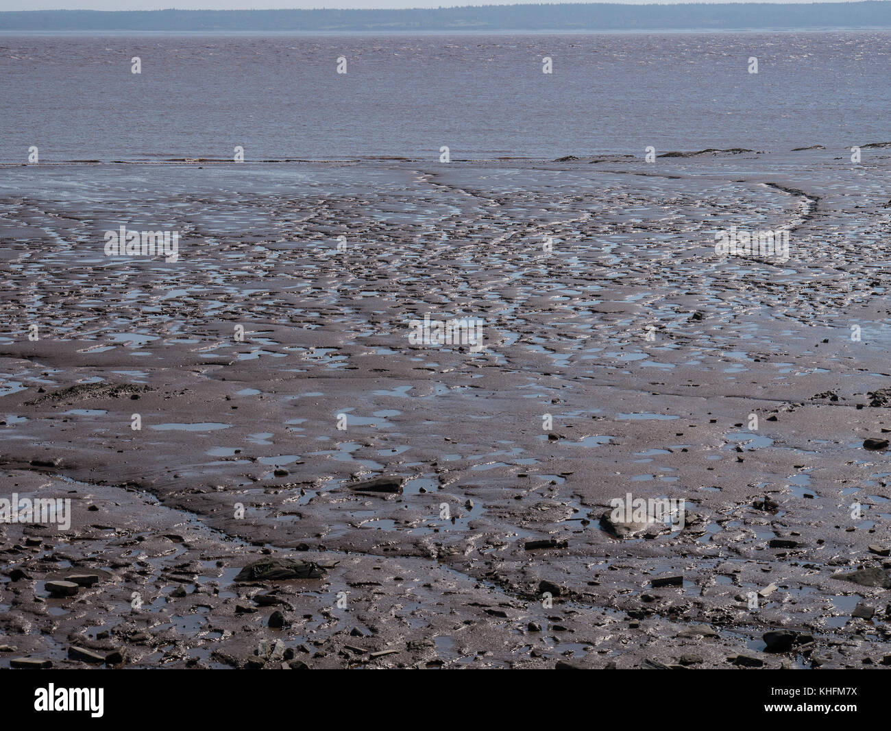 Massive mud flats at low tide, Hopewell Rocks Park, Bay of Fundy, New ...