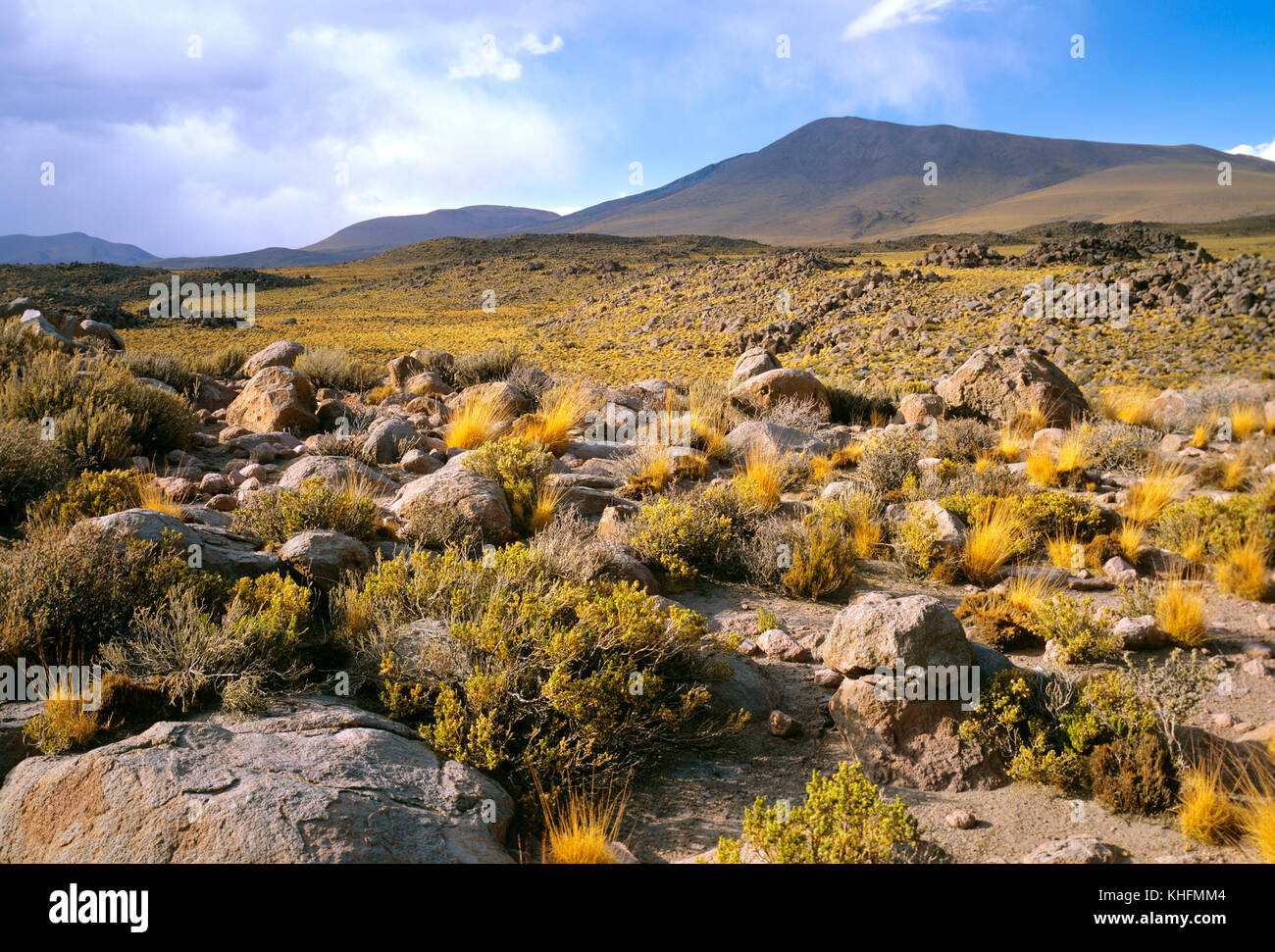 Chilean plateau hi-res stock photography and images - Alamy