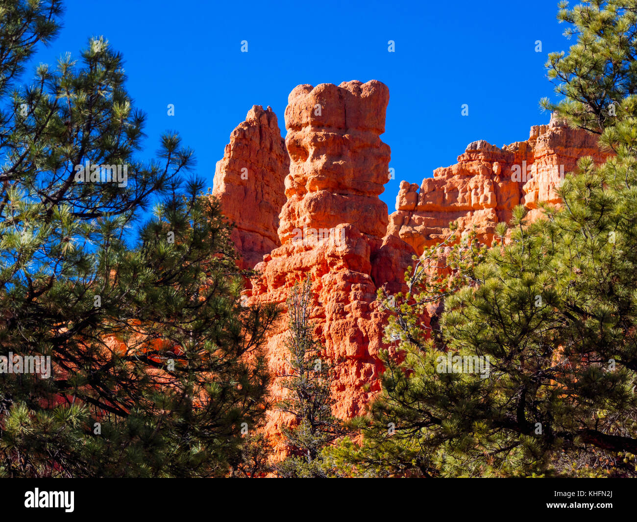The colorful rocks of Red Canyon in Utah Stock Photo - Alamy