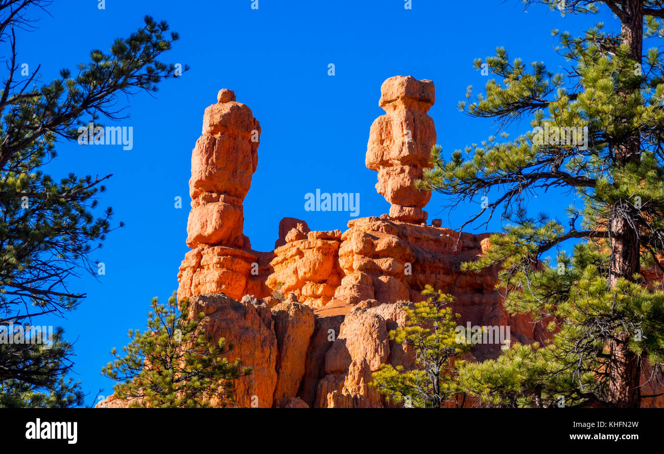 The colorful rocks of Red Canyon in Utah Stock Photo - Alamy
