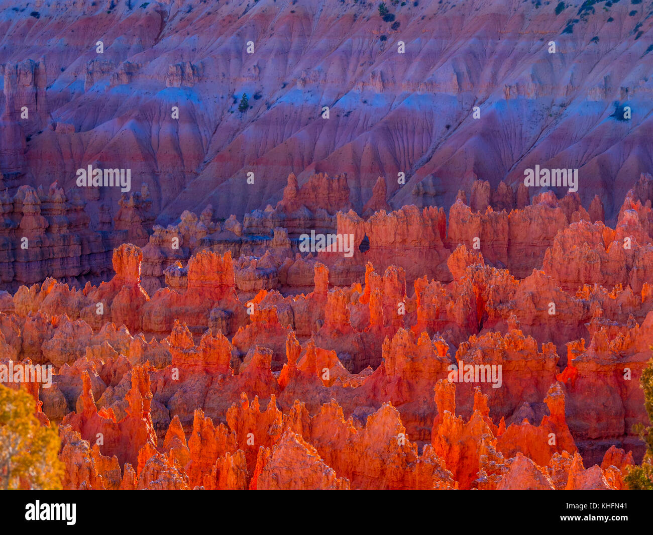 The red cliffs of Bryce Canyon National Park in Utah Stock Photo - Alamy