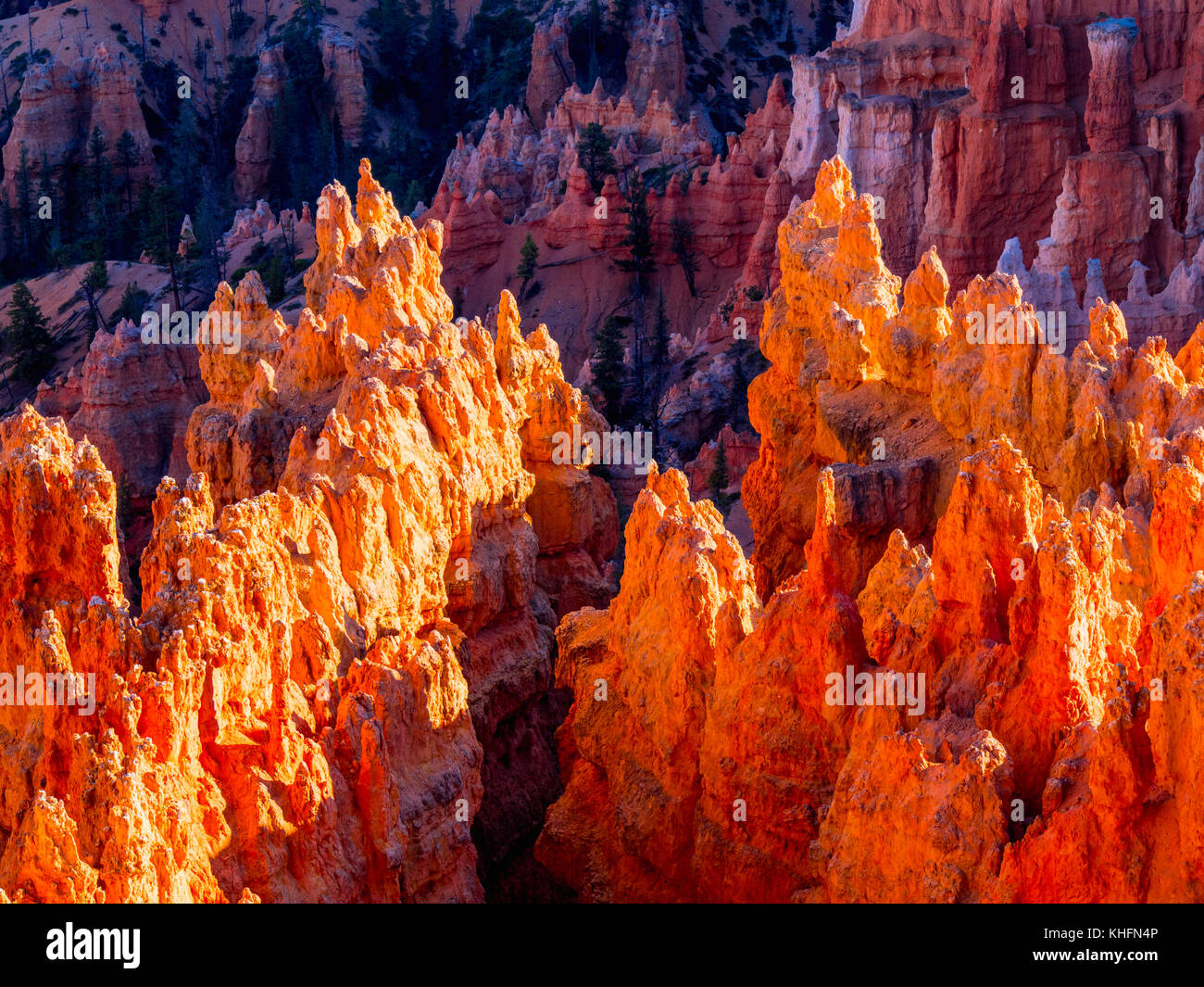 The famous Bryce Canyon National Park in Utah Stock Photo - Alamy