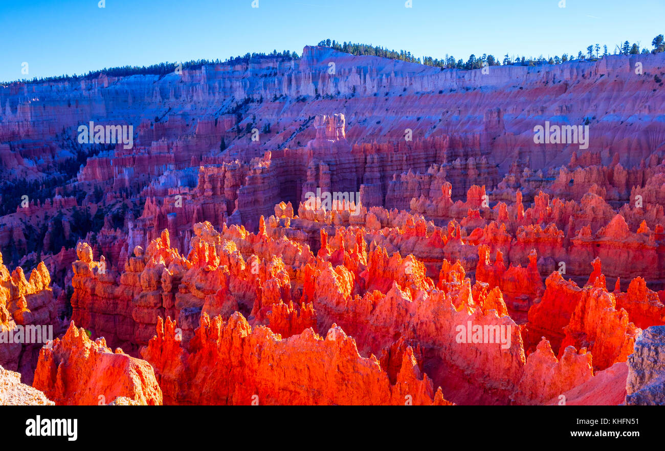 The red cliffs of Bryce Canyon National Park in Utah Stock Photo - Alamy