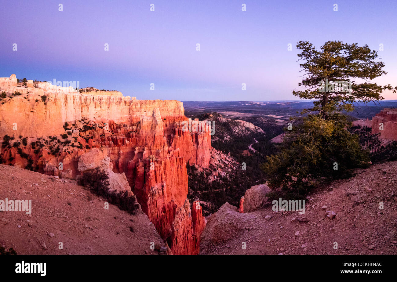 Wonderful Scenery at Bryce Canyon National Park in Utah Stock Photo - Alamy