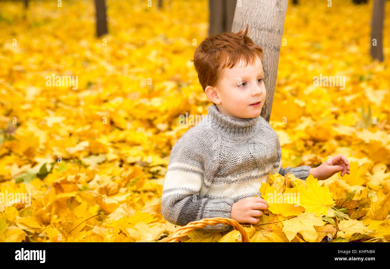 Autumn portrait of beautiful child. Happy little boy with leaves in the ...