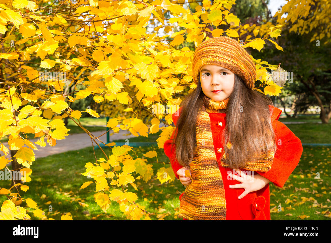 Autumn portrait of beautiful child. Happy little girl with leaves in ...
