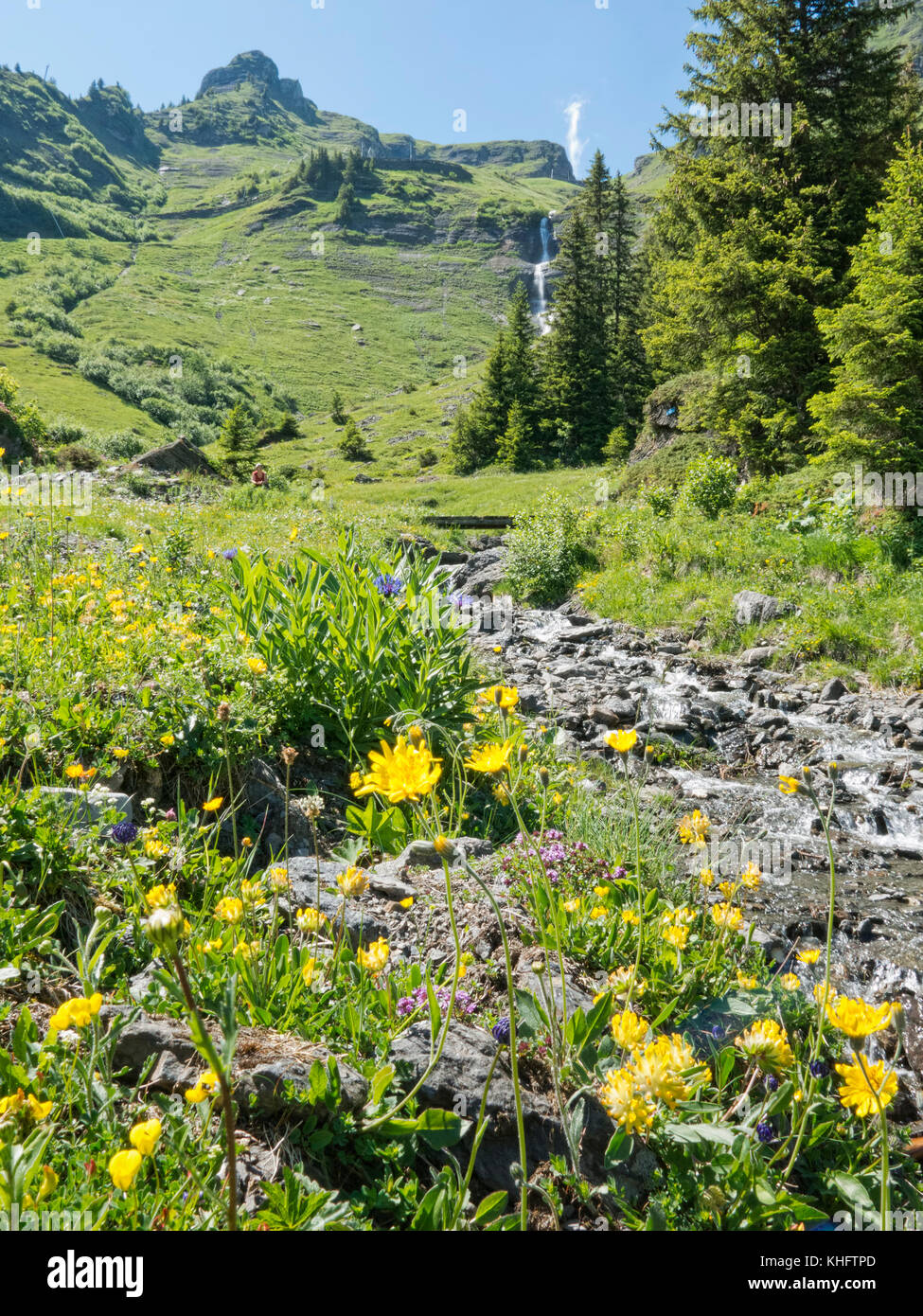 Switzerland alpine landscape Stock Photo - Alamy