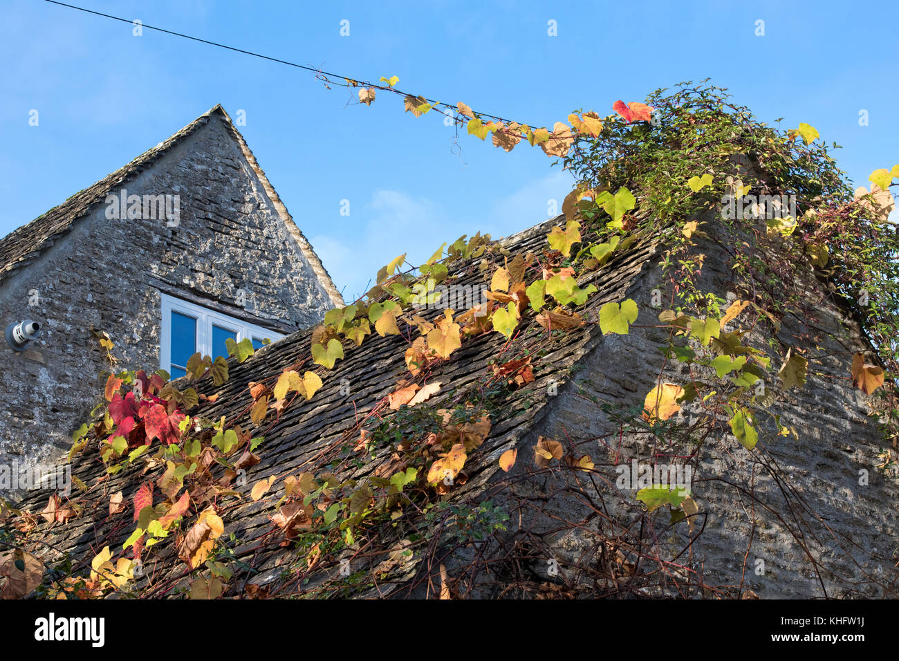 Vine roof hi-res stock photography and images - Alamy