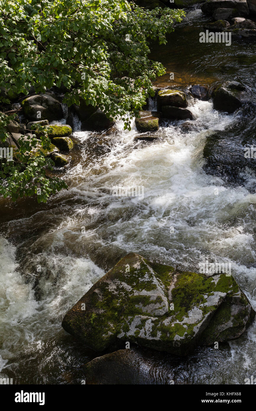 Wildwasser hi-res stock photography and images - Alamy