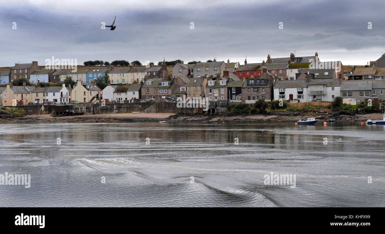 Ferryden Fishing Village High Resolution Stock Photography and Images ...