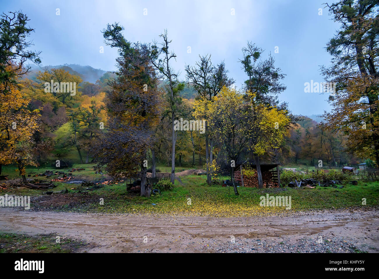 Rural fall landscape with trees, wood in barn Stock Photo - Alamy