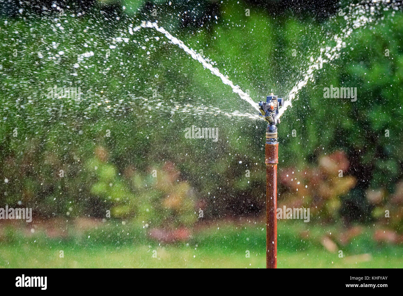 Close up water sprinkler in garden Stock Photo - Alamy