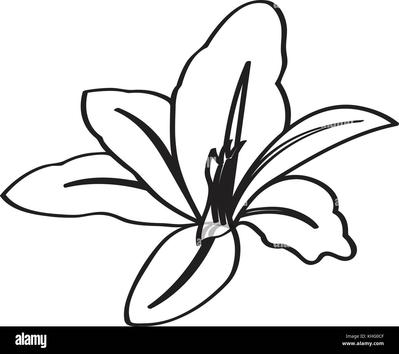 Isolated sketch flower Stock Vector Image & Art - Alamy