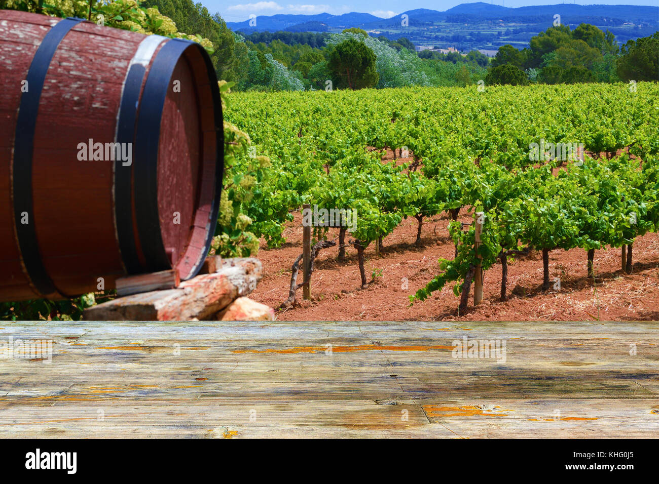 Rustic wooden table against a vineyard background. Viticulture concept ...