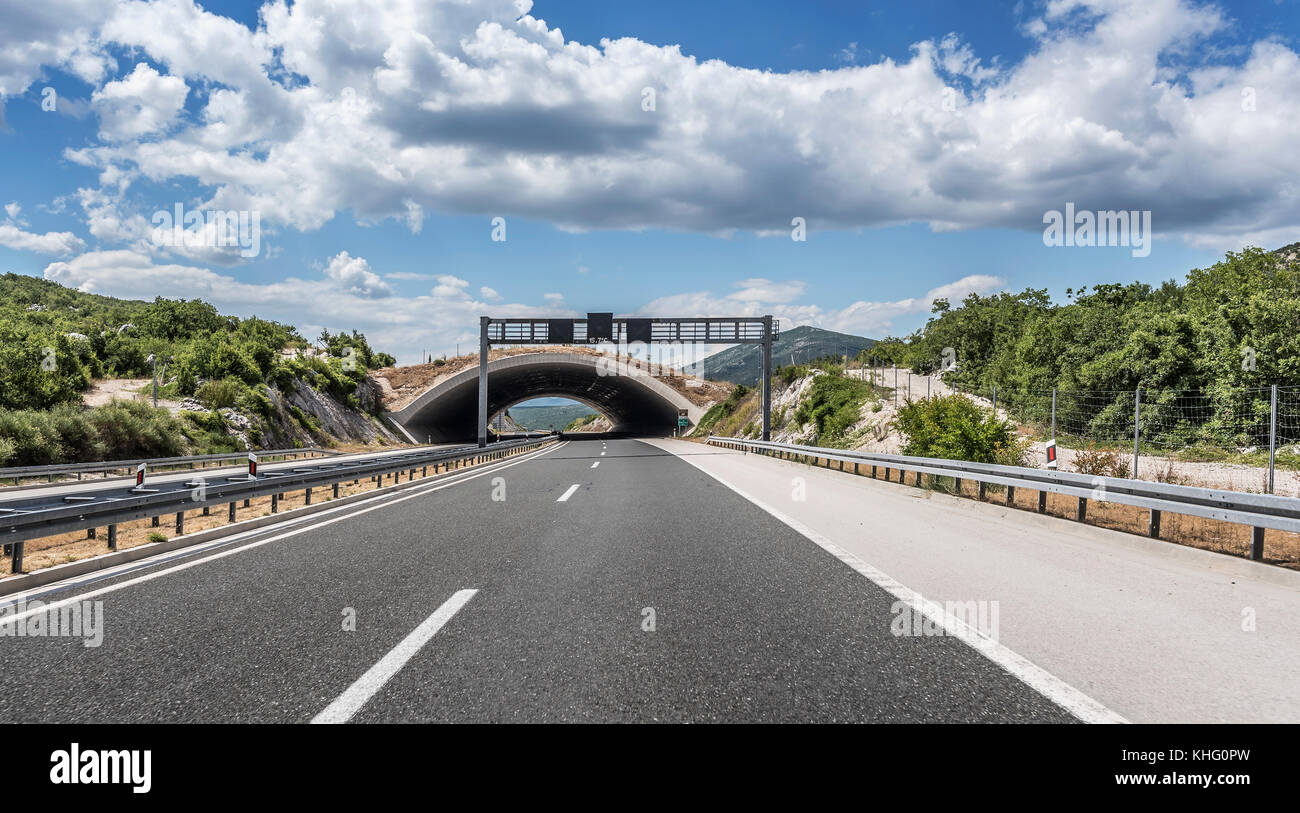Bridge for animals over a highway Stock Photo - Alamy