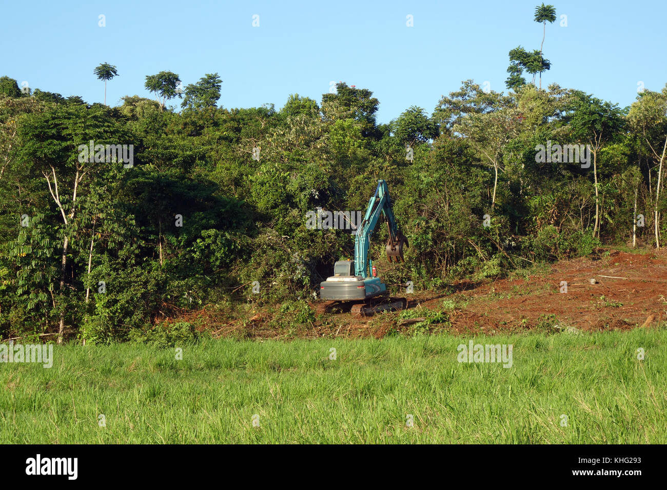 Bulldozer clearing trees hi-res stock photography and images - Alamy