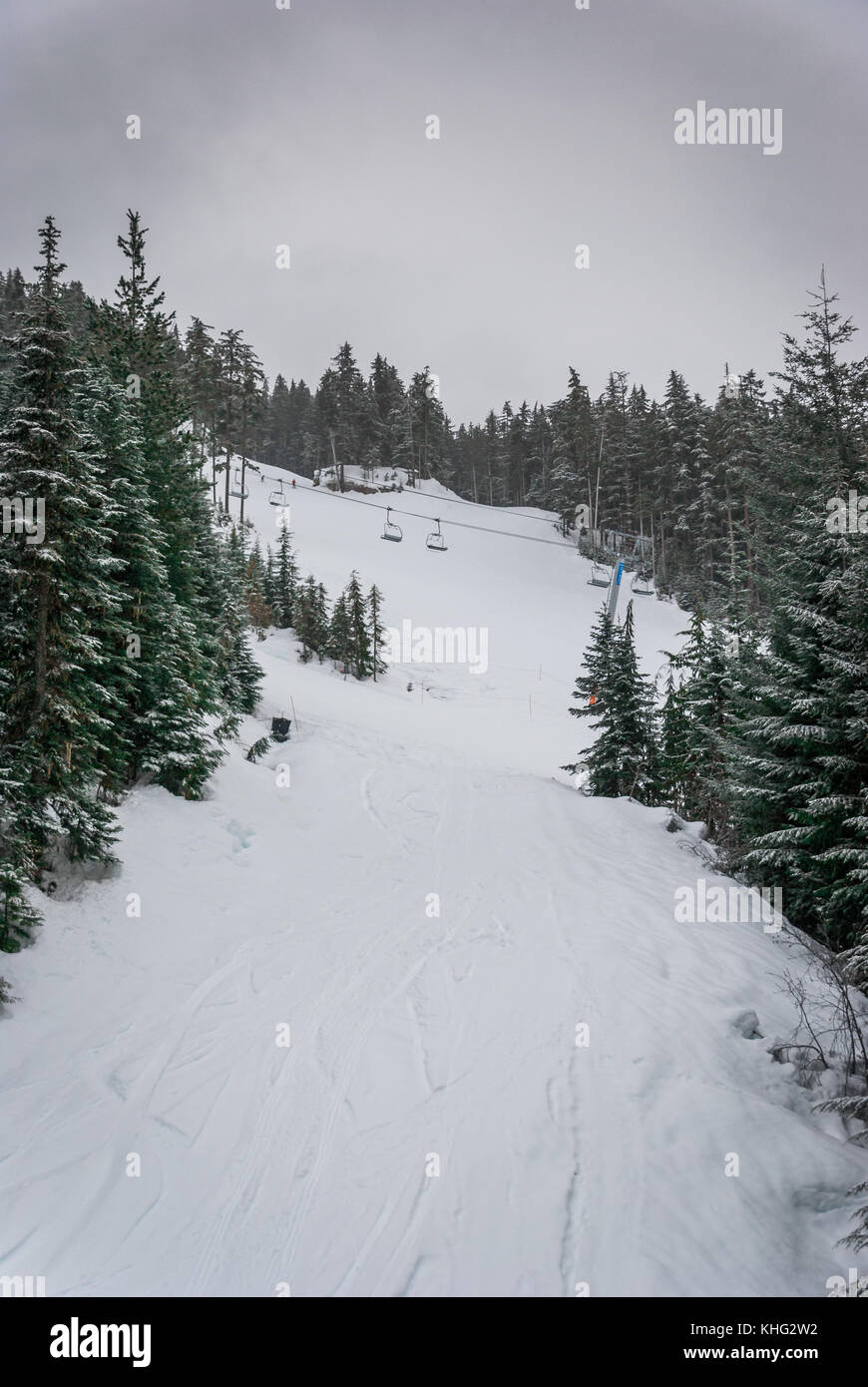 Tree lined ski slope on mountain Stock Photo - Alamy