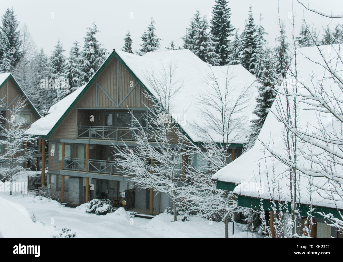 large wooden alpine building covered in fresh snow and surrounded by ...