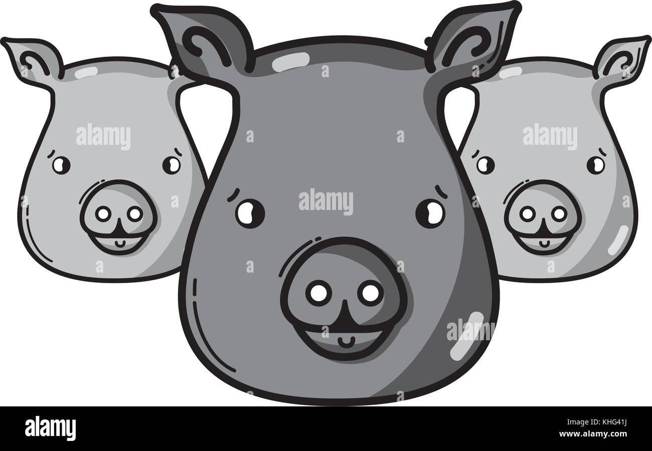 grayscale cute pigs heads wilds animals vector illustration Stock ...