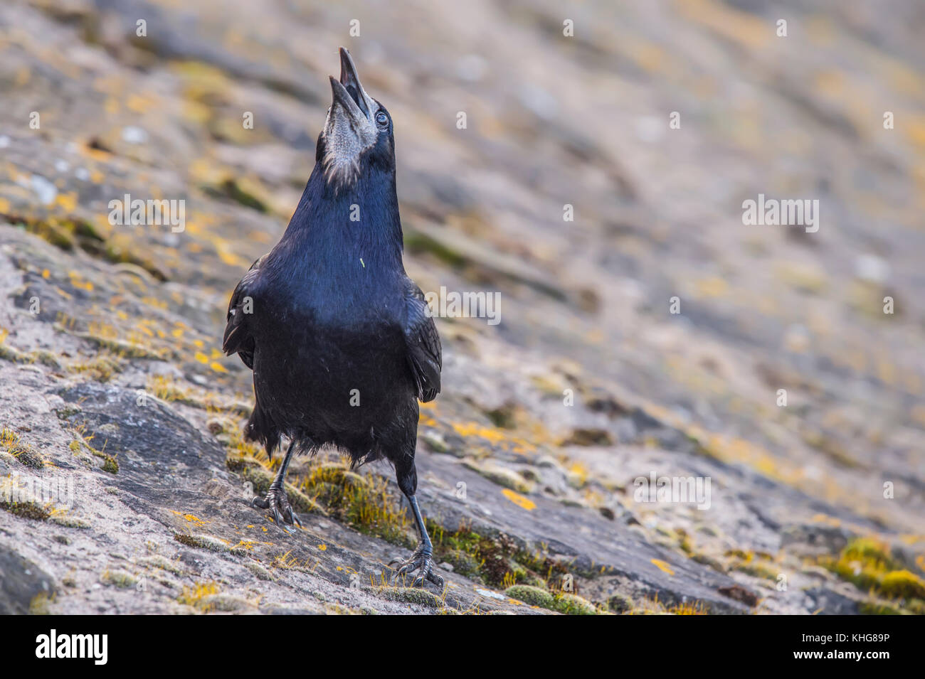 Sinister rocks hi-res stock photography and images - Alamy