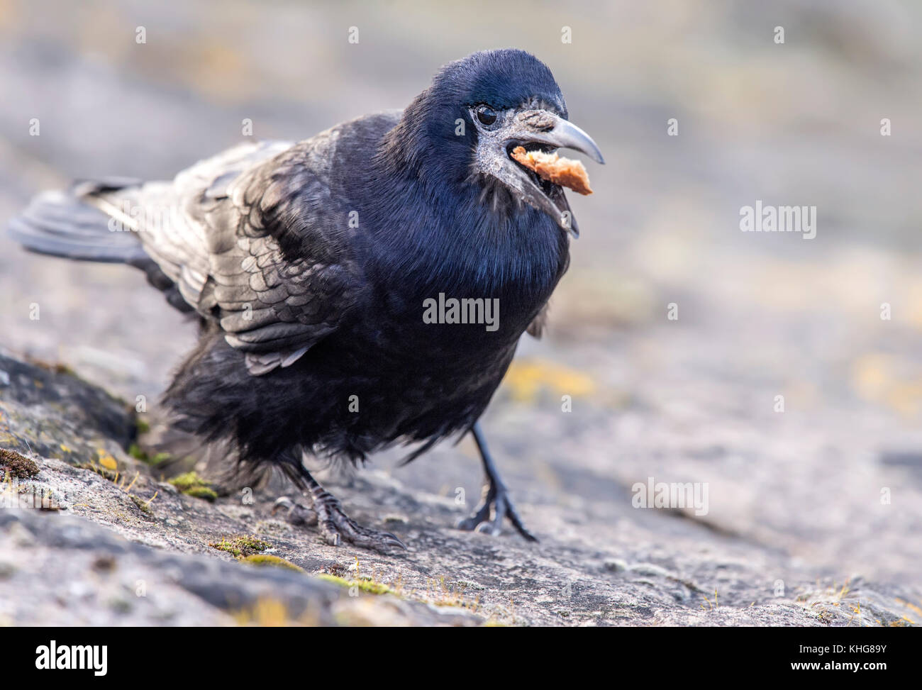 Sinister Rocks High Resolution Stock Photography and Images - Alamy