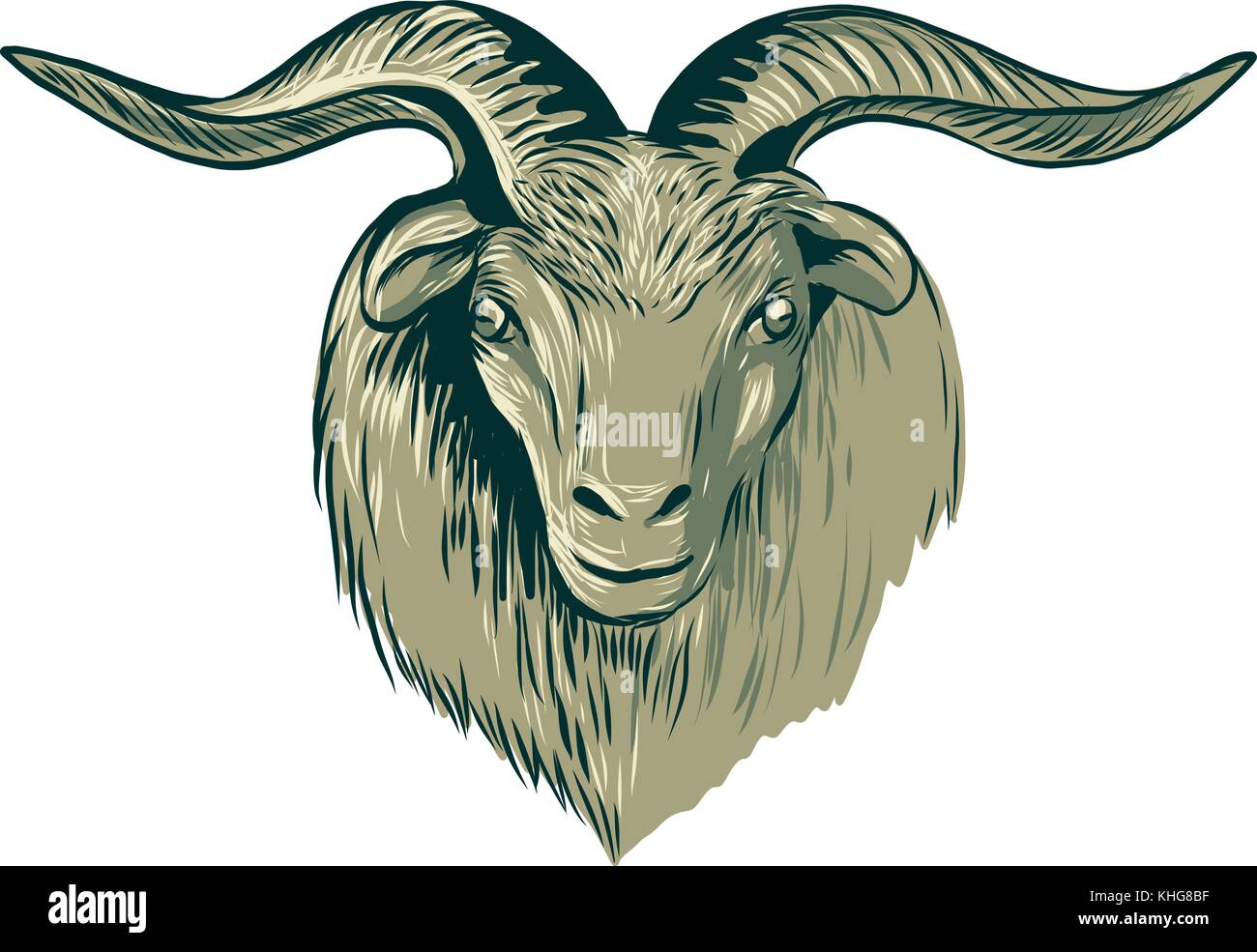 Cashmere Goat Drawing Cashmere Goat, Goat, Goats PNG Transparent Image