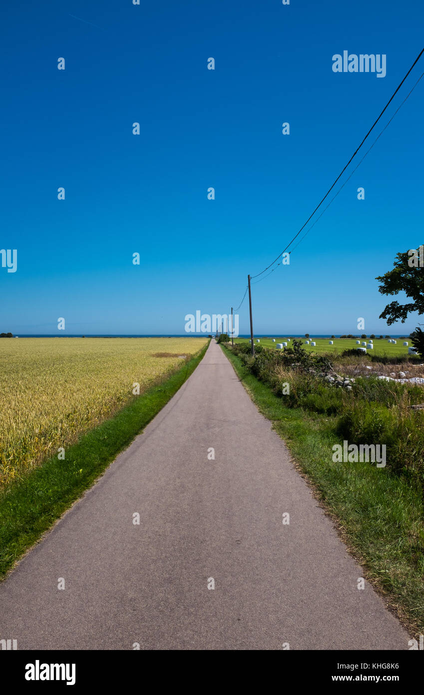 Wheat crops in southern Sweden Stock Photo - Alamy