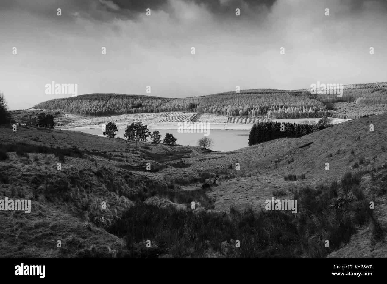 Backwater Dam, Angus, Scotland Stock Photo - Alamy