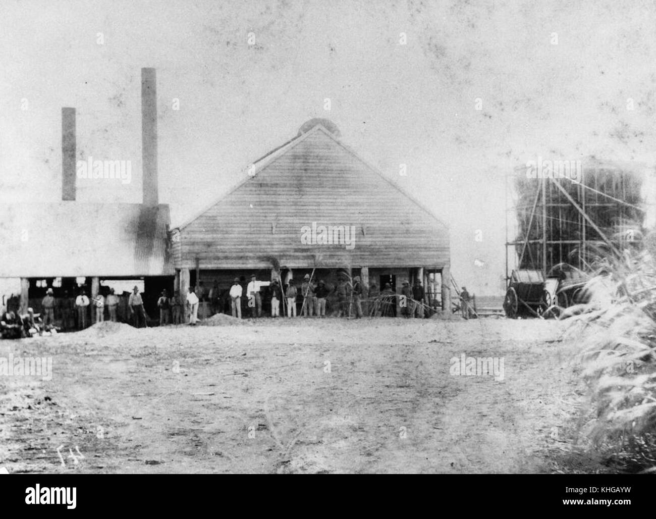 2 395877 Fairymead Sugar Mill near Bundaberg, Queensland, 1898 Stock ...