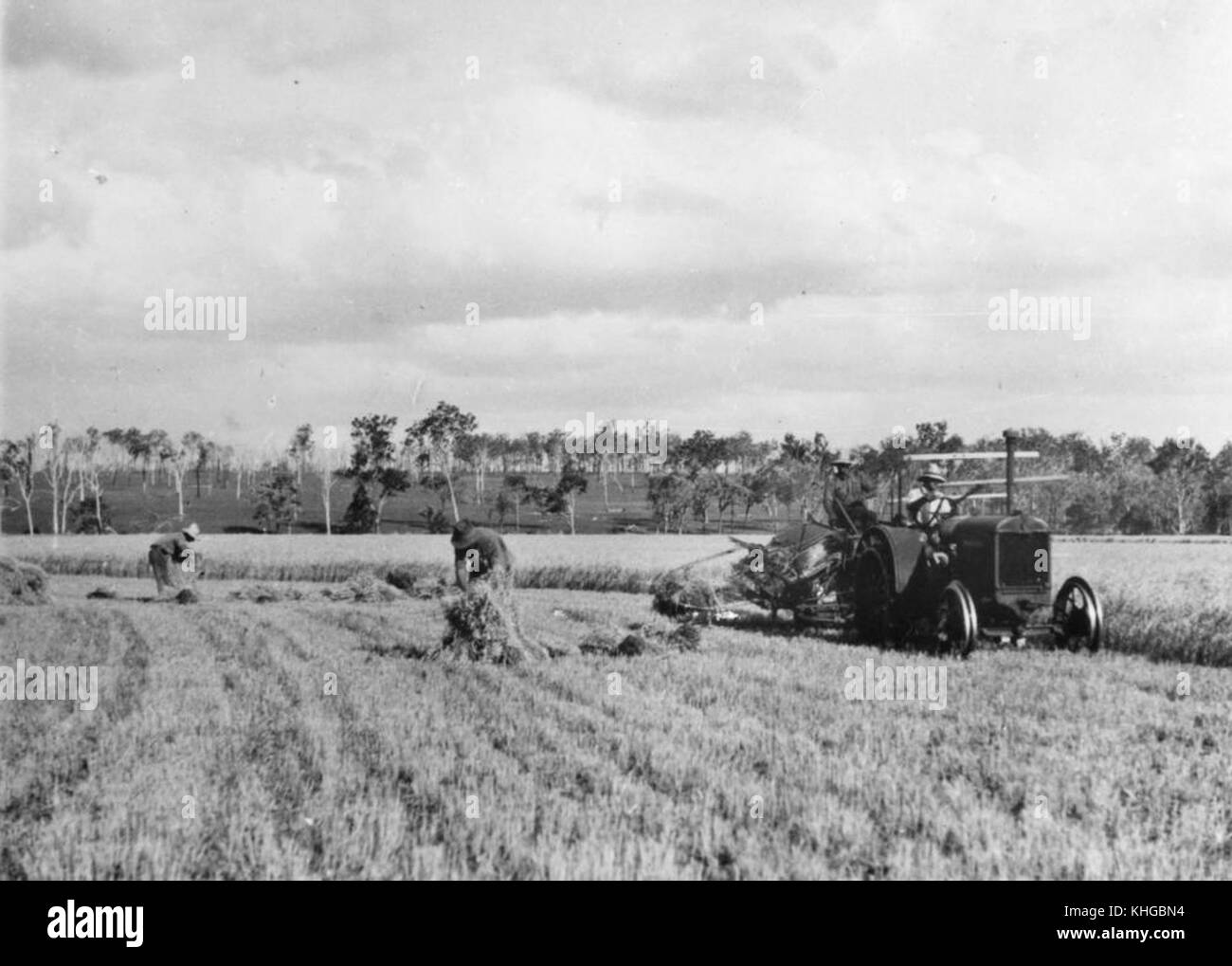 Reaper hay hi-res stock photography and images - Alamy