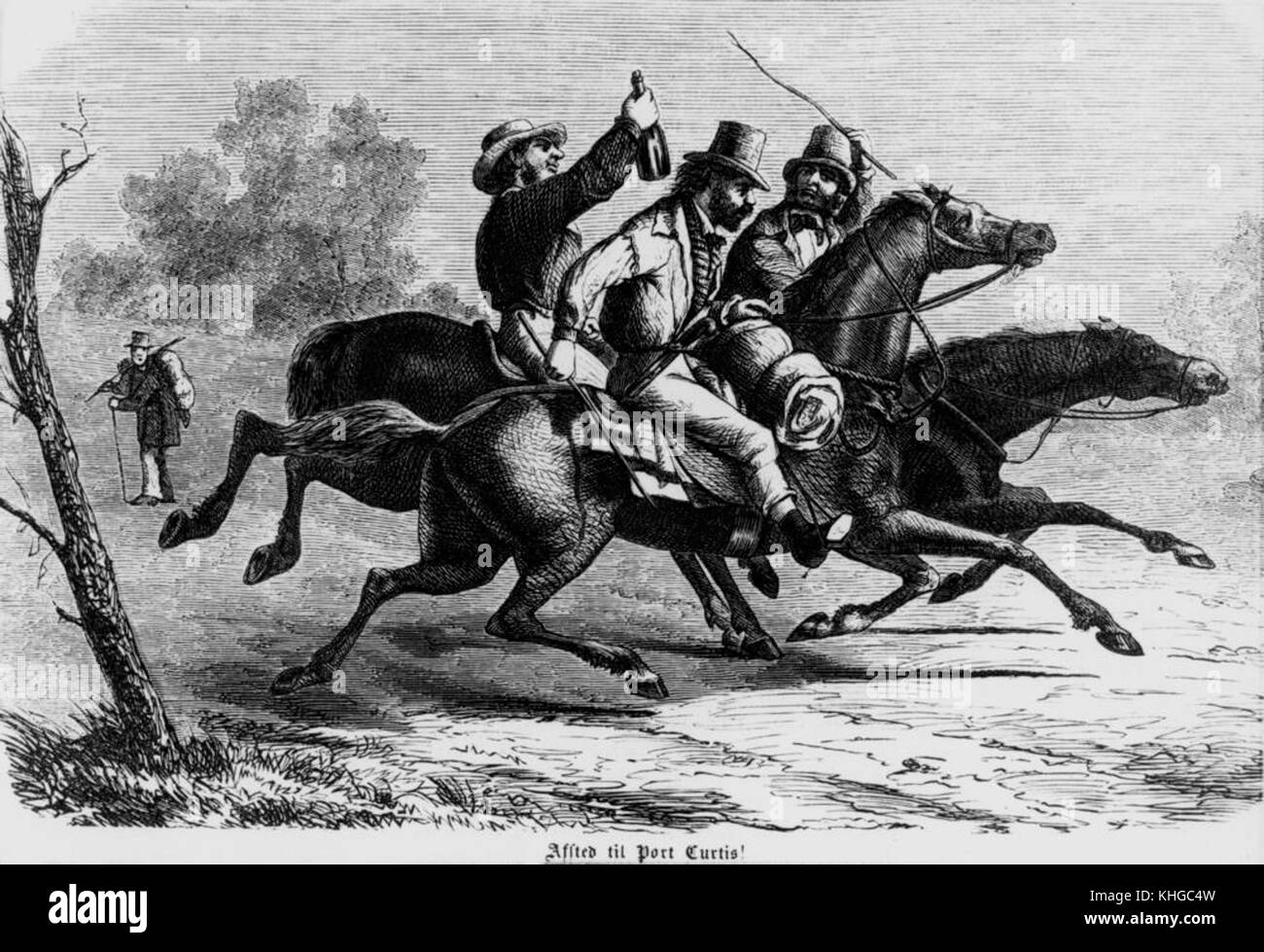 Black and white horse art hi-res stock photography and images - Alamy