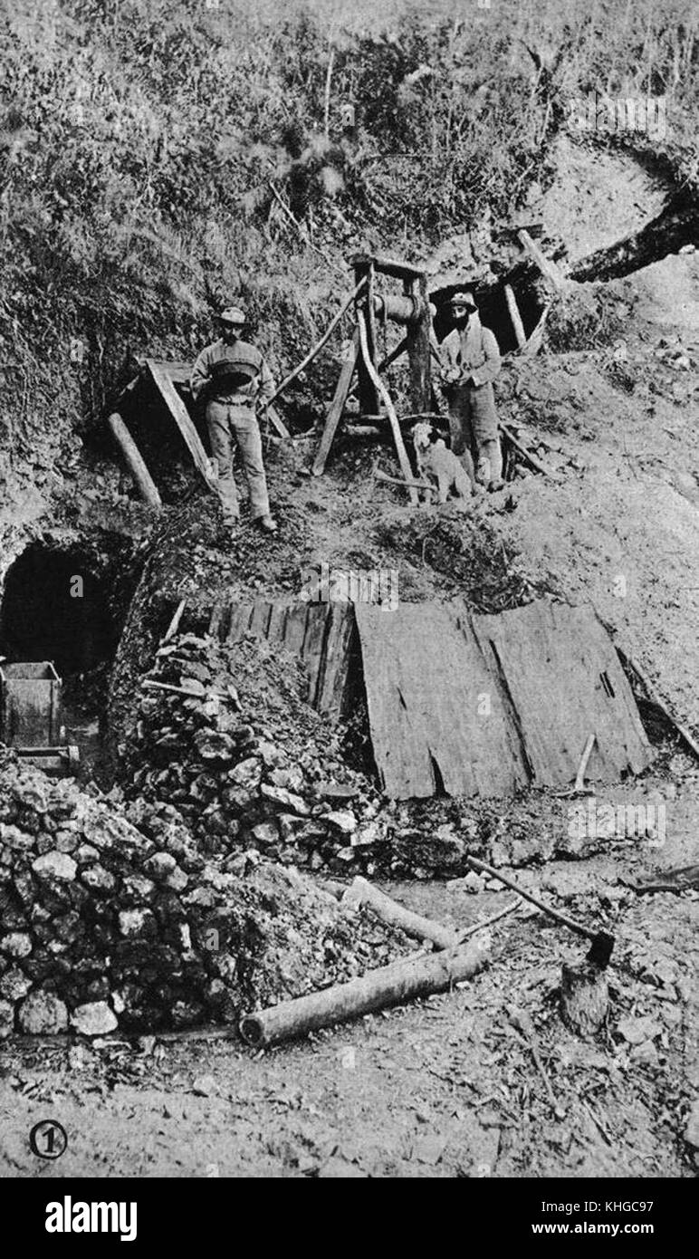 Daisy bell Black and White Stock Photos & Images - Alamy