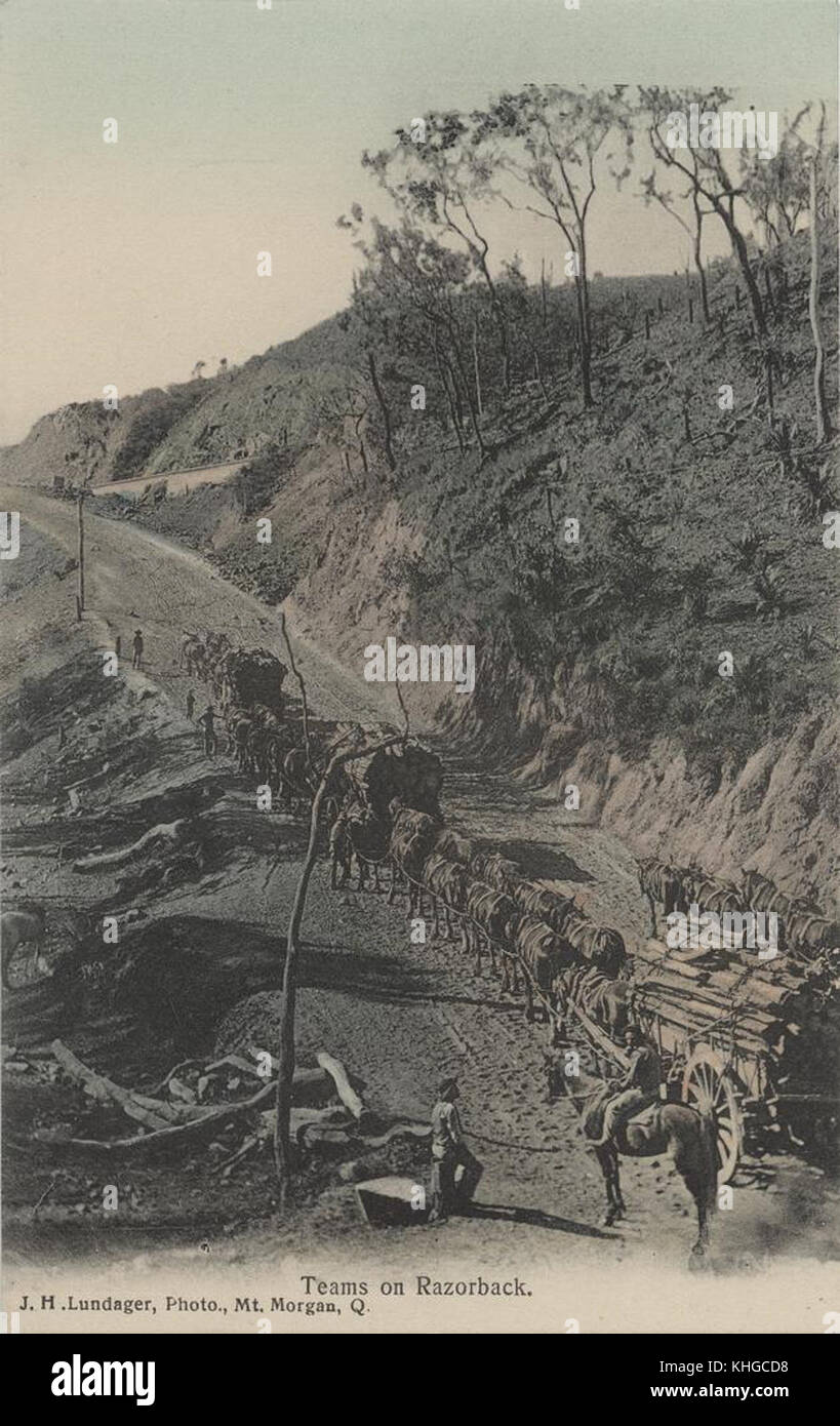 2 237198 Horse teams hauling logs on the Razorback Range, Mt. Morgan ...